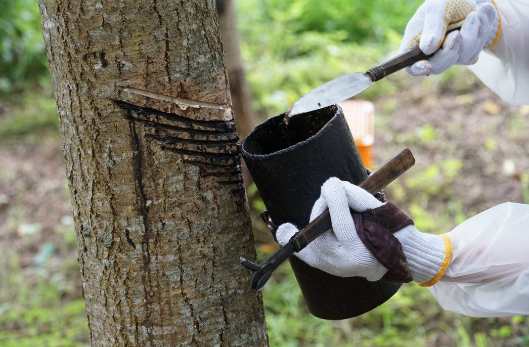 Tsugu Tsugu | Kintsugi Kits from Japan That Embrace Time and Philosophy ...